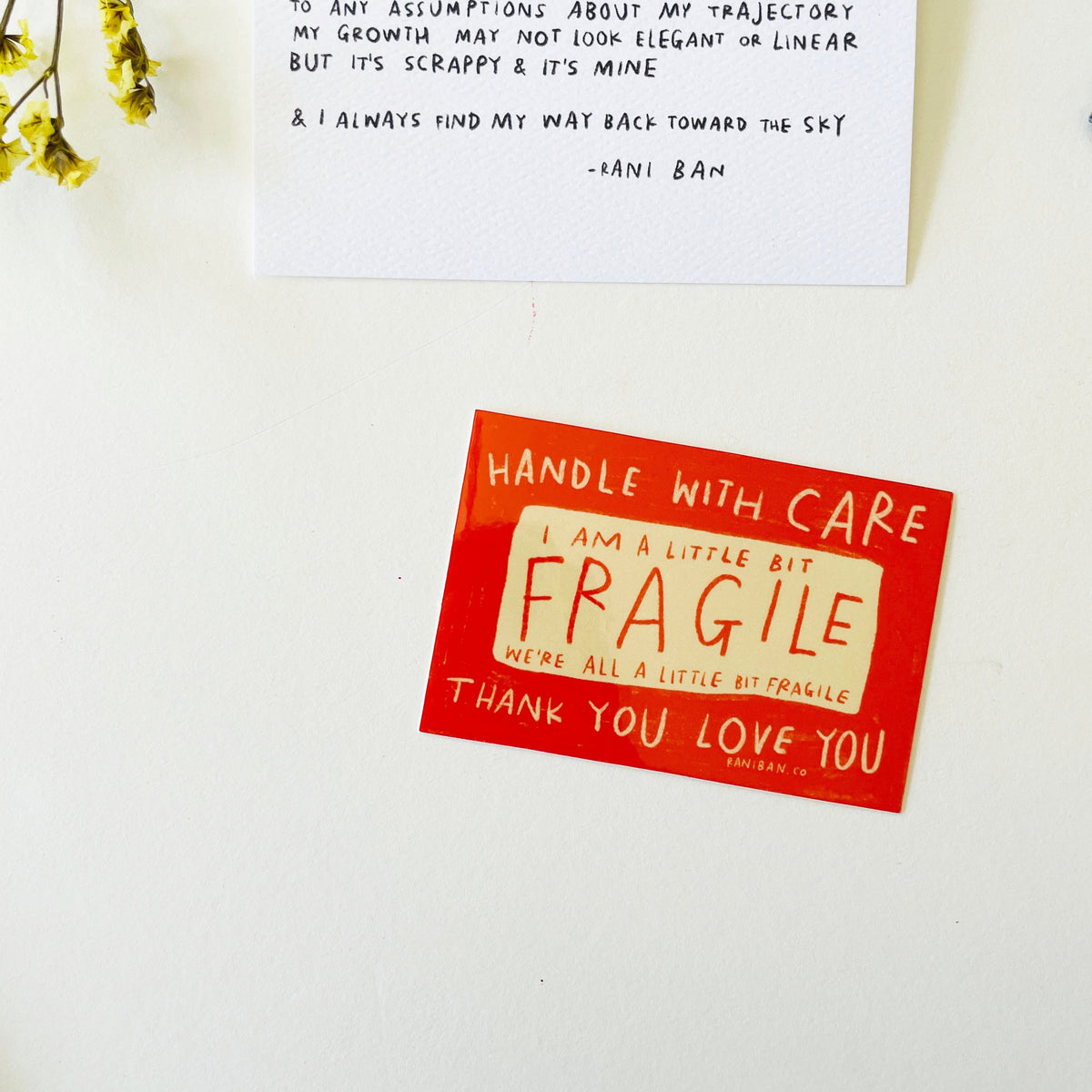 Rani Ban Vinyl Sticker - A Little Bit Fragile – niconeco zakkaya